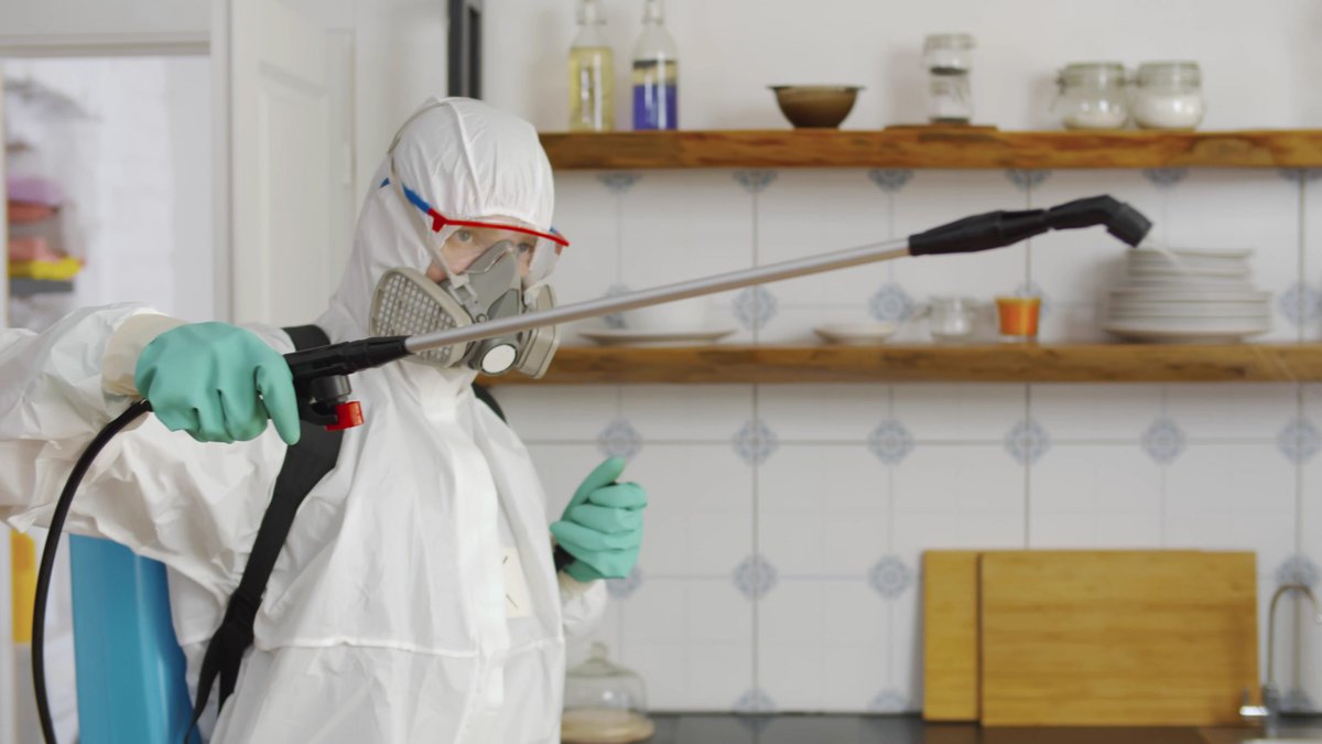 Commercial Pest Control Services: Safeguard Your Workplace